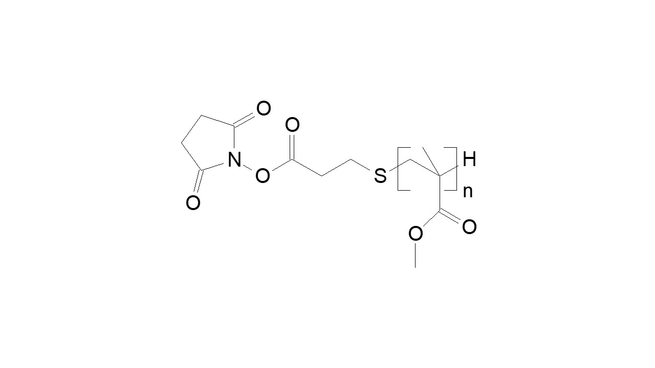 Poly(MMA) NHS terminated - specific polymers